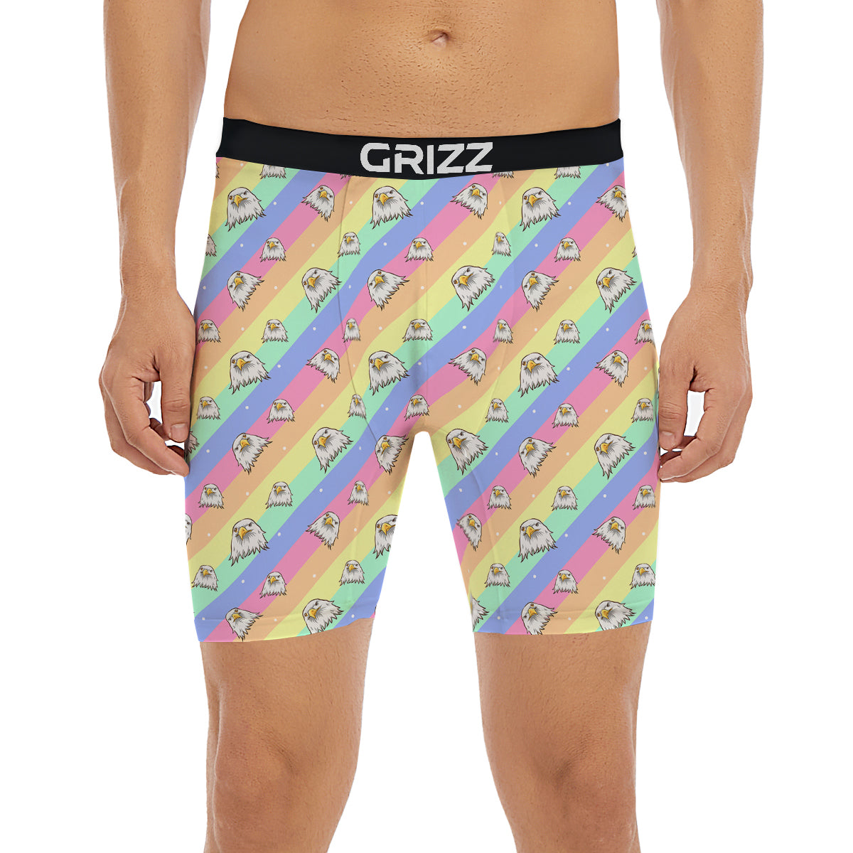 Cute Eagle Rainbow Print Pattern Boxer Briefs
