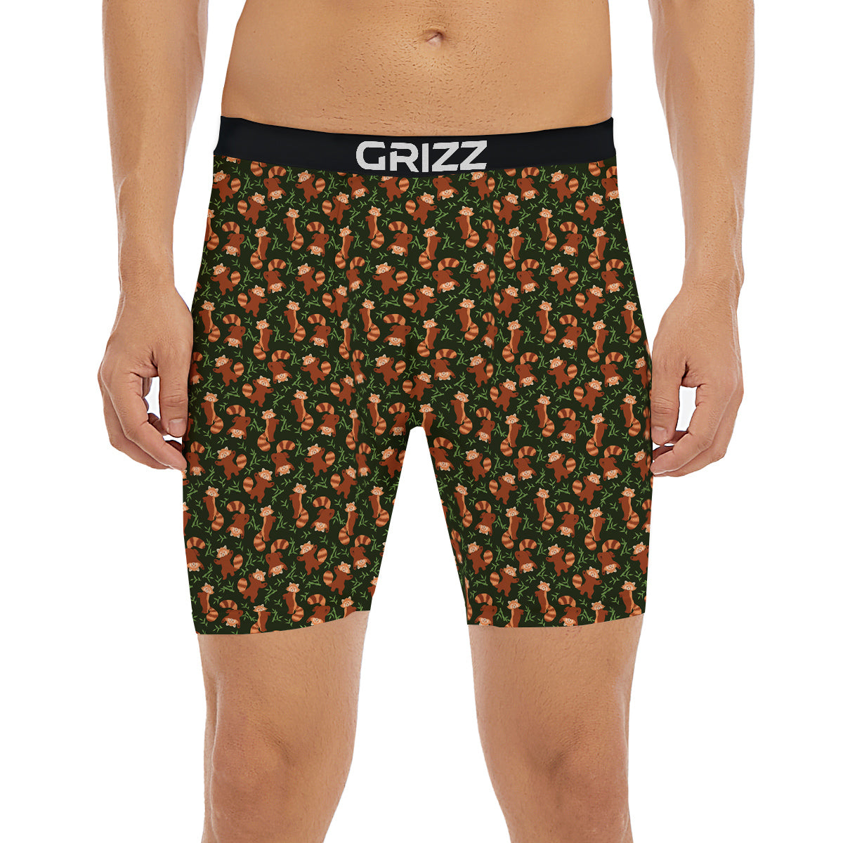 Brown Raccoon Cartoon Cute Print Pattern Boxer Briefs
